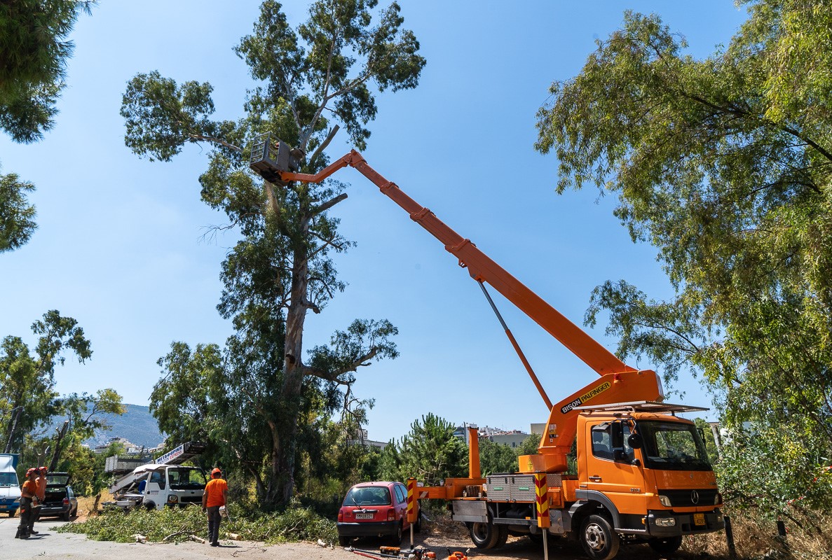 ΚΛΑΔΕΜΑ ΔΕΝΤΡΩΝ - Δήμος Ζωγράφου