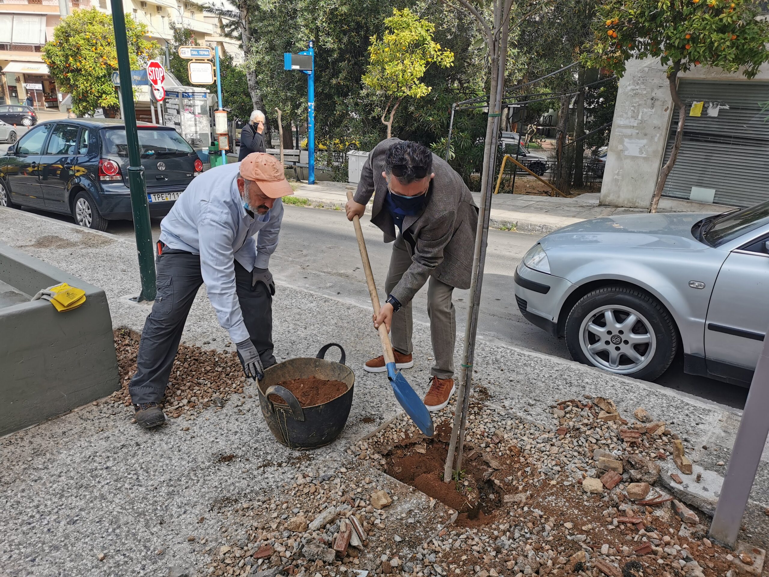 Δενδροφύτευση στις πλατείες Ελευθερίας και Αγίου Θεράποντα από τον ...