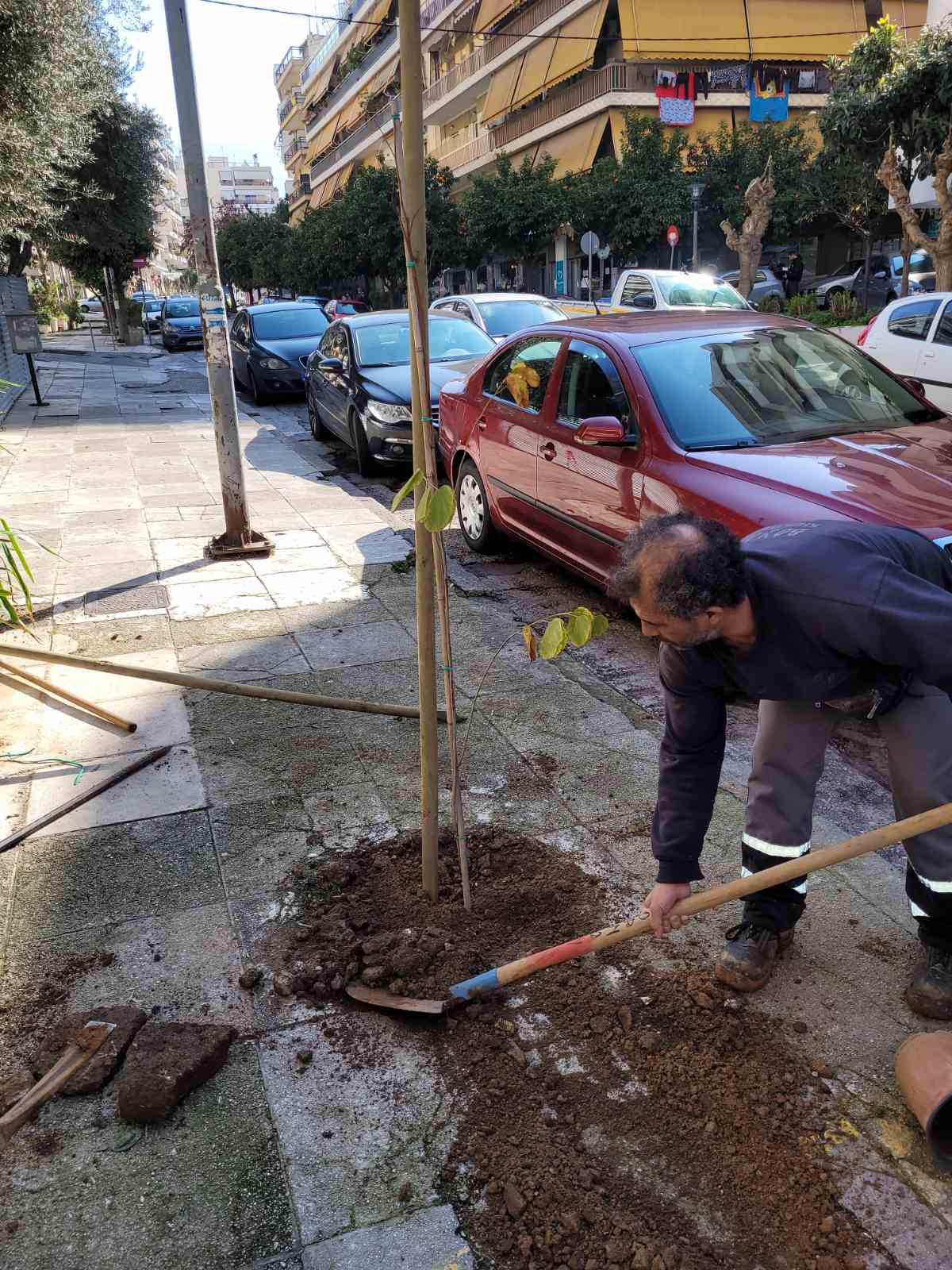 Σε νέες φυτεύσεις προχώρησε η Υπηρεσία Πρασίνου του Δήμου Ζωγράφου ...
