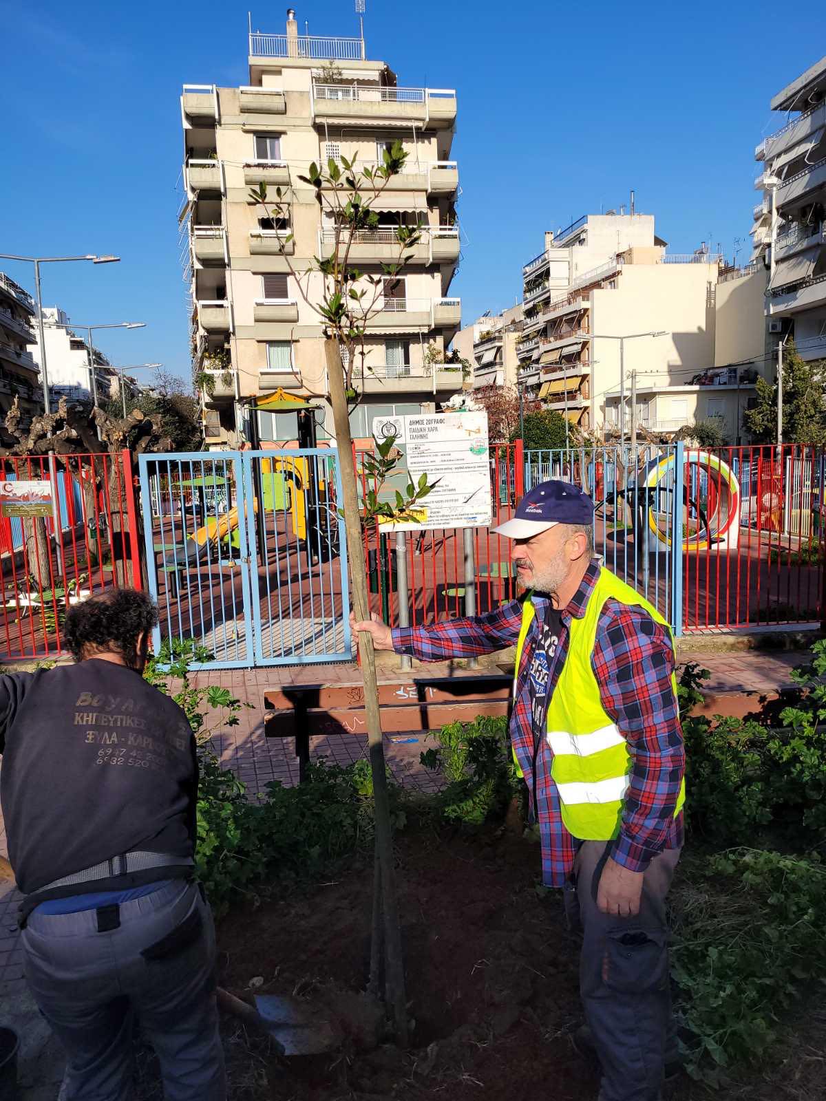 Σε νέες φυτεύσεις προχώρησε η Υπηρεσία Πρασίνου του Δήμου Ζωγράφου ...
