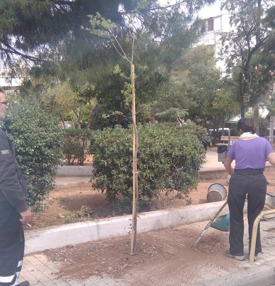 Νέες δενδροφυτεύσεις για την ενίσχυση του πρασίνου στον Δήμο Ζωγράφου ...